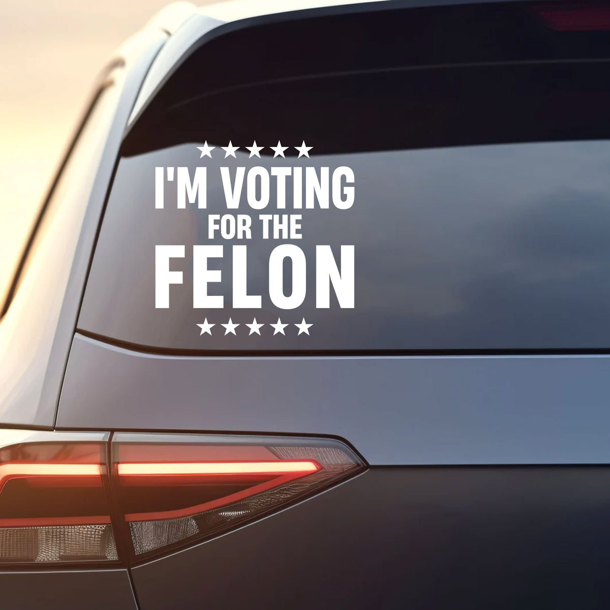 Vote For Felon Trump 2024 Decals | Trump Supporters Decals | Car Window ...